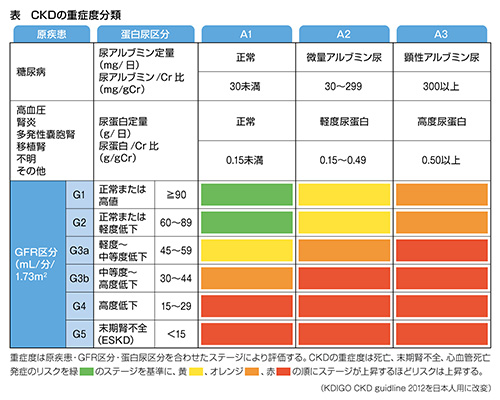 第3回 糸球体濾過量（GFR）で腎機能を評価する! | 看護に役立つ【ナースプレスbyナース専科】
