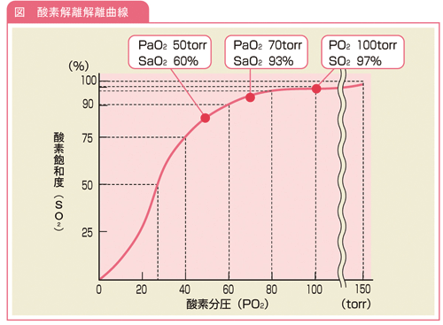 【酸素化の評価】PaO2が低い・高いときのアセスメントとケア | 看護に役立つ【ナースプレスbyナース専科】